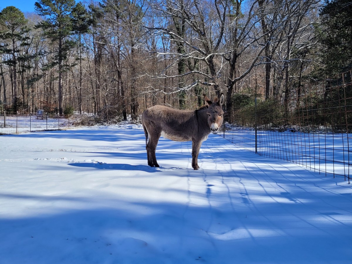 Finding God When Things Look Bleak – BeanSpired Editions